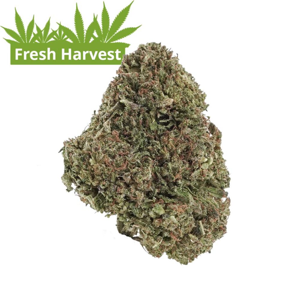Bubba Kush | CBD Flower - Fern Valley Farms