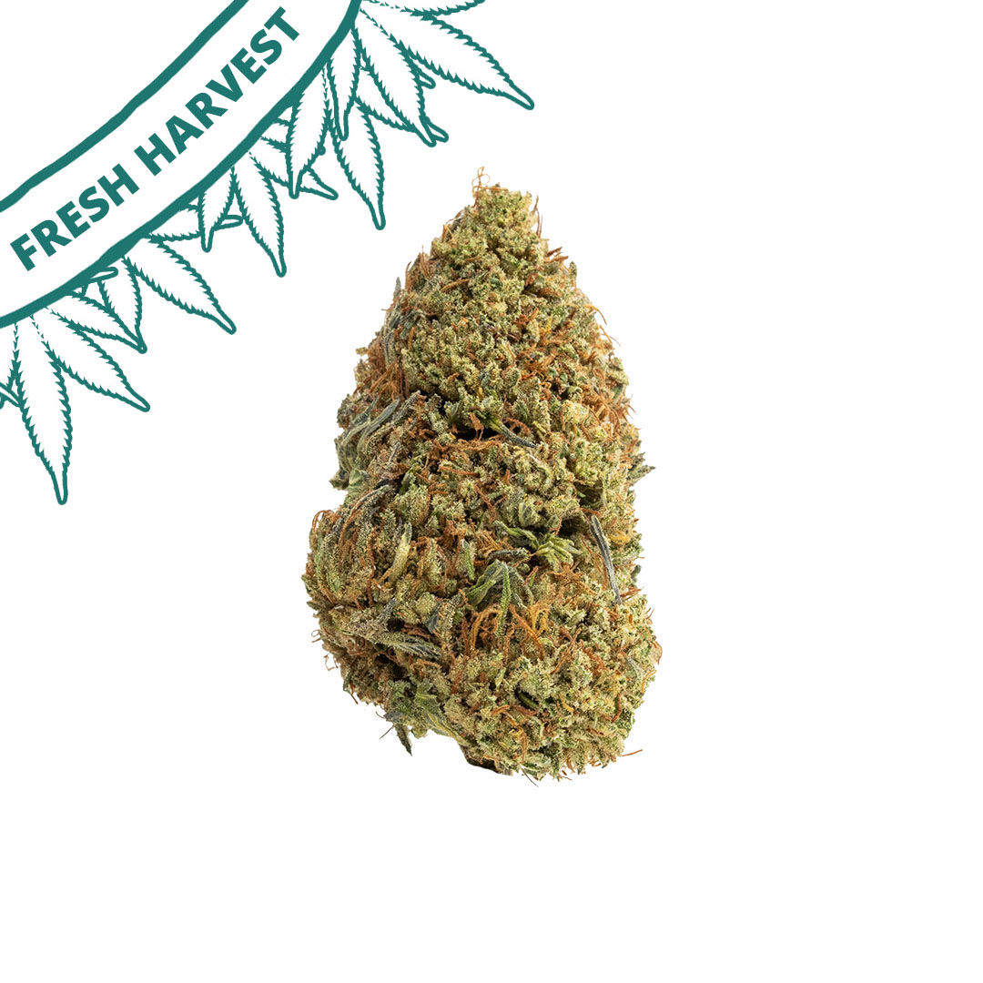 CBD Flower | Fern Valley Farms | Hemp Flower