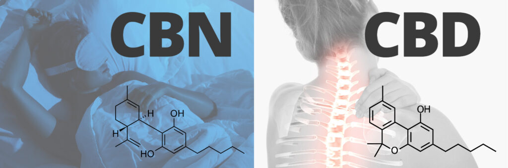 CBN vs CBD: A Deep Dive into Two Important Cannabinoids - Fern Valley Farms