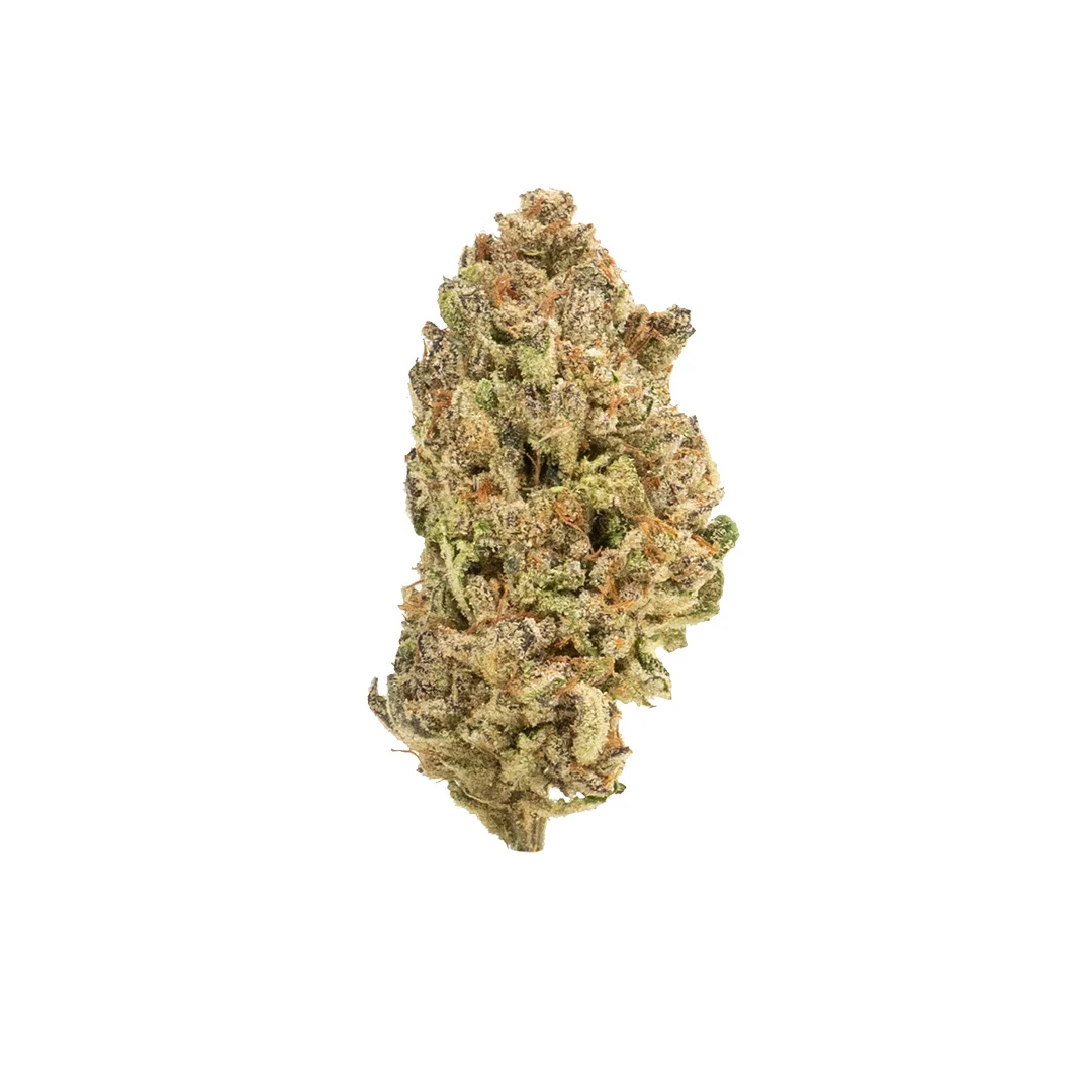 Glitter Bomb | THCA Flower (Outdoor) - Fern Valley Farms