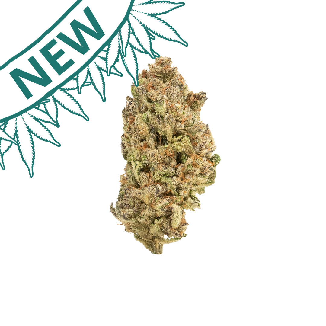 Glitter Bomb | THCA Flower (Outdoor) - Fern Valley Farms