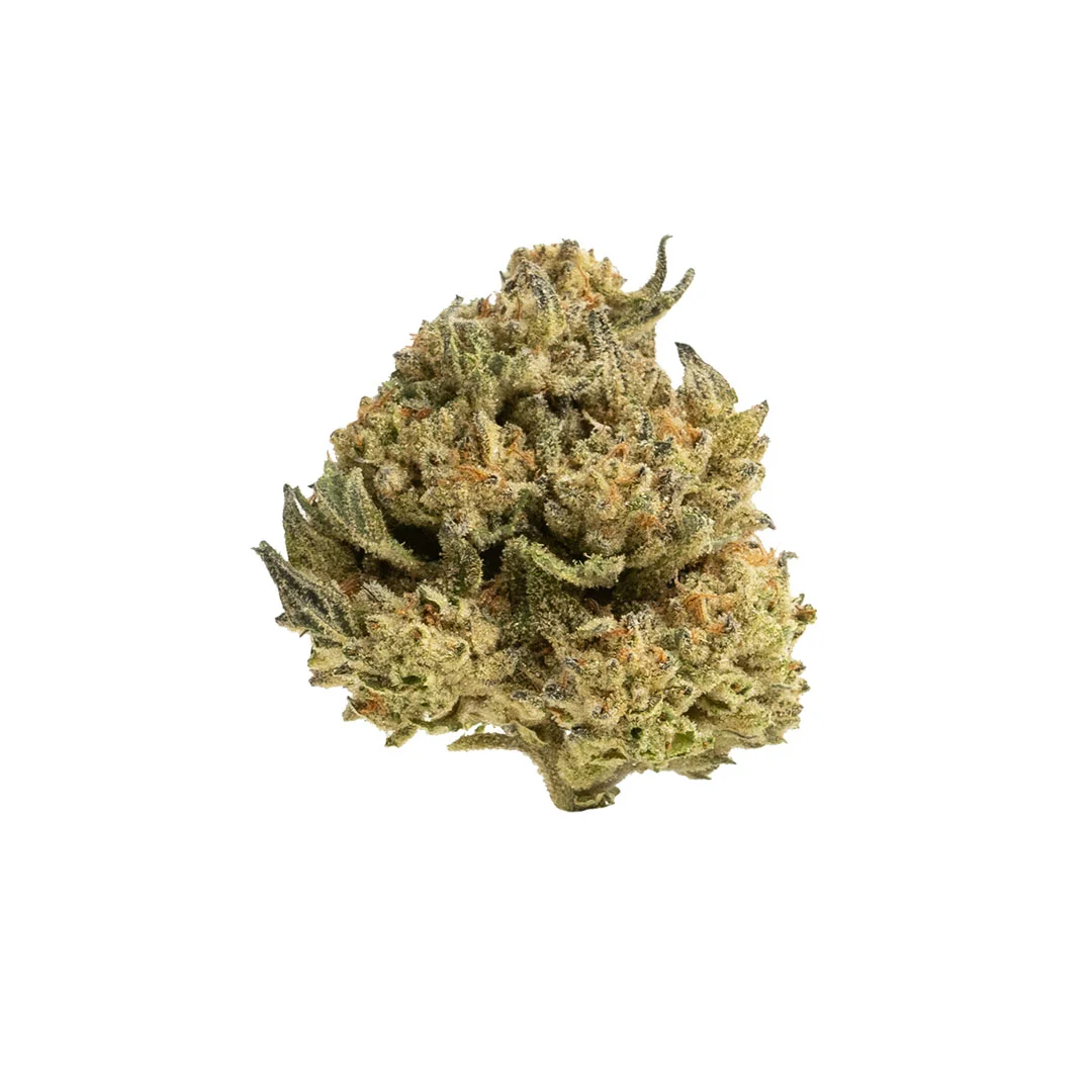 Cream Filling | THCA Flower (Outdoor) - Fern Valley Farms