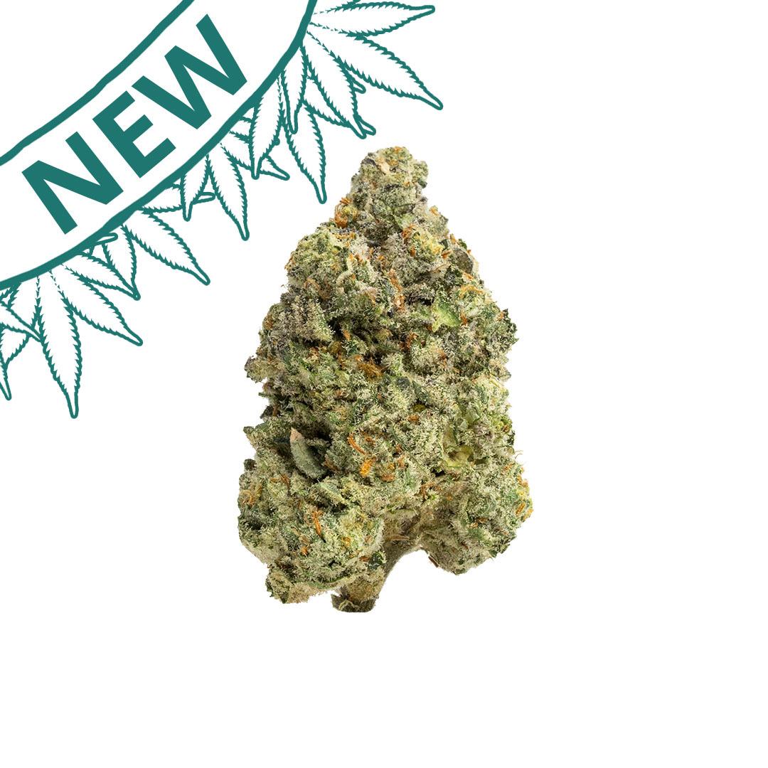 THCA Flower for Sale - Fern Valley Farms