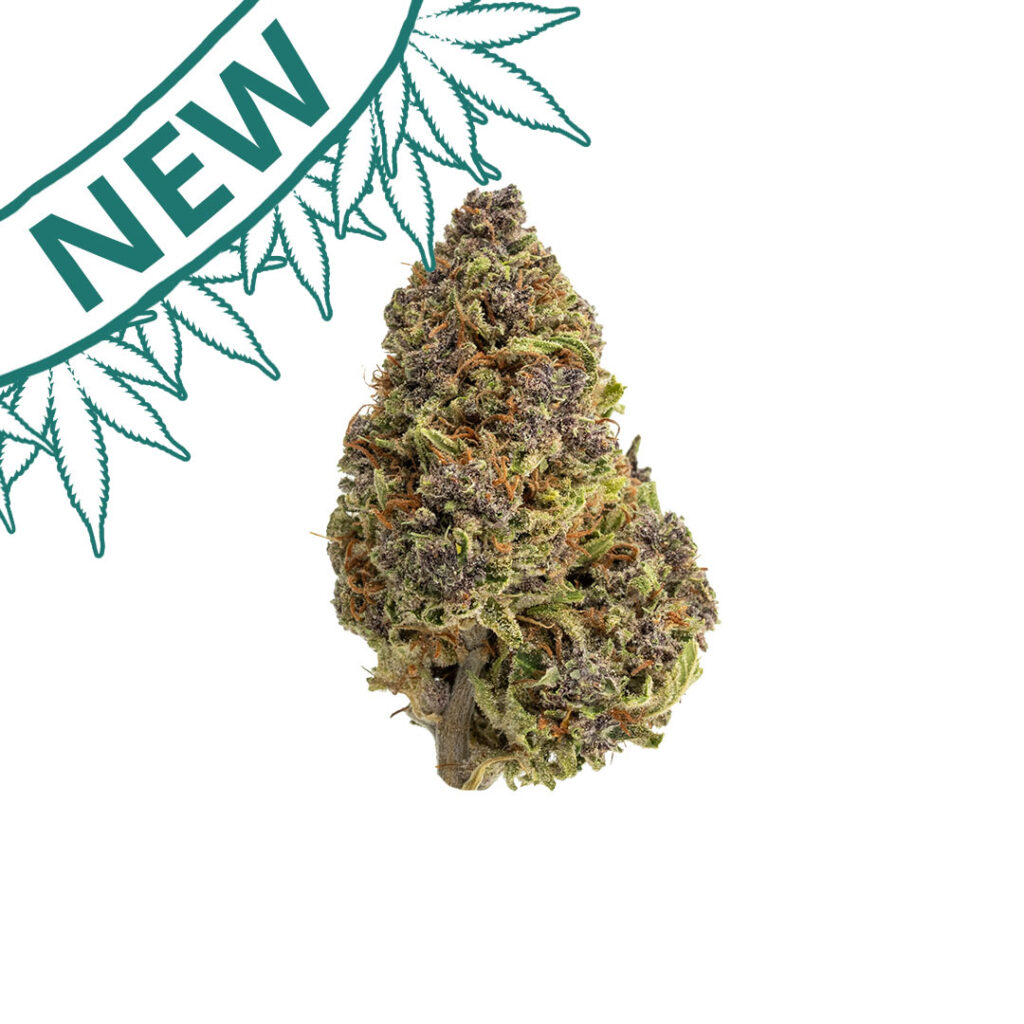 CBD Flower | Fern Valley Farms | Hemp Flower