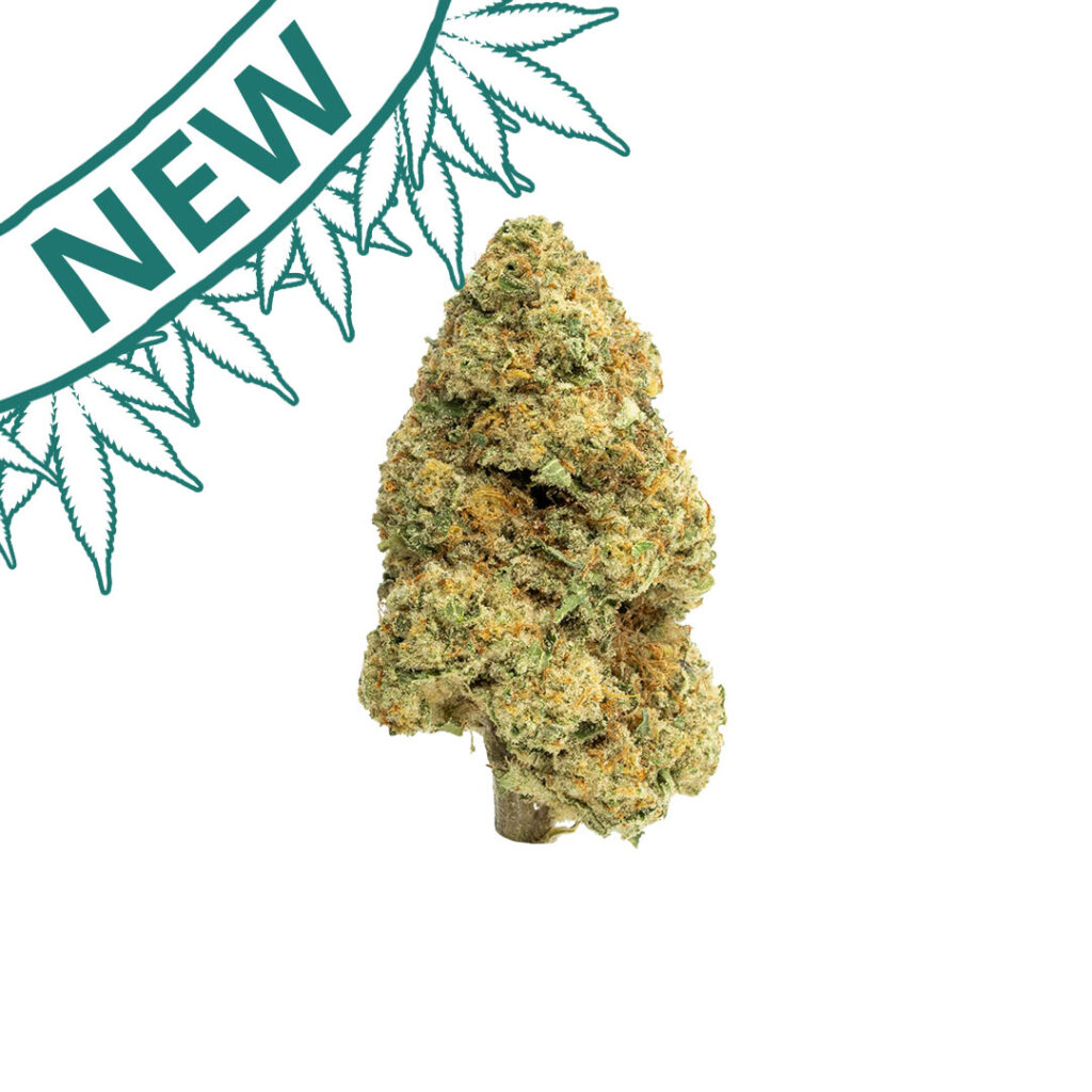 THCA Flower for Sale - Fern Valley Farms