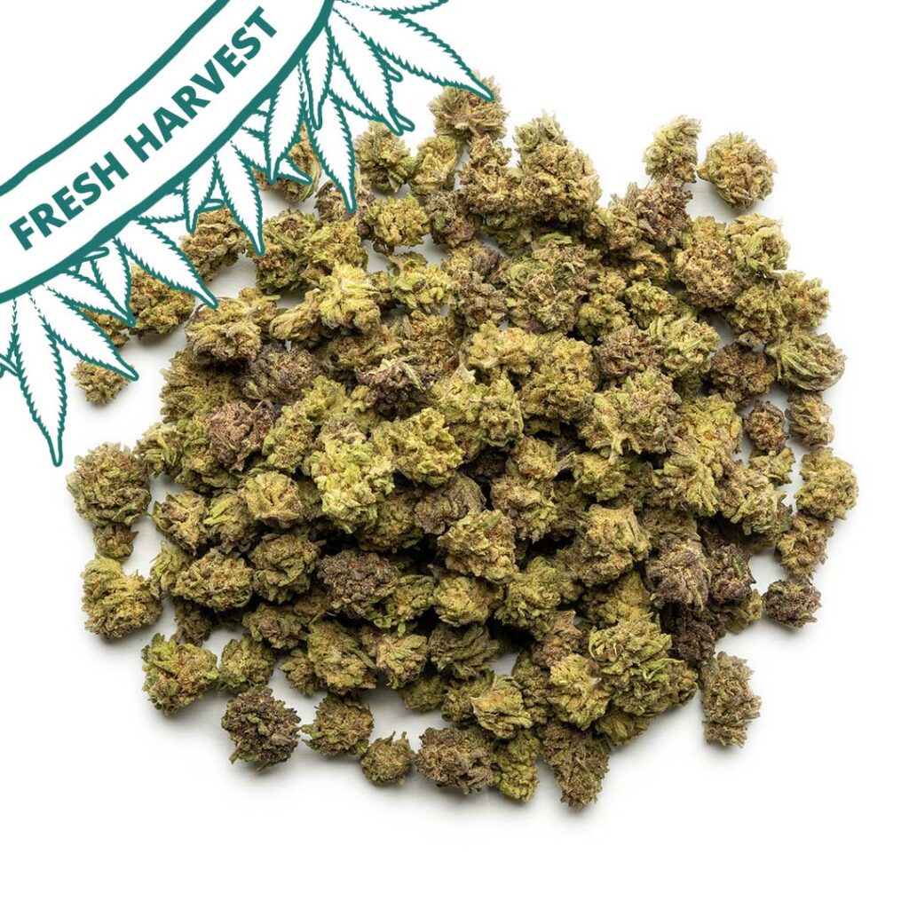 THCA Small Buds - Fern Valley Farms